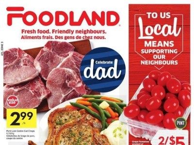 Foodland (Sobeys) in Fraser Mall (Gander, Newfoundland and Labrador A1V ...