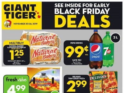 Giant Tiger in Perth (Ontario, Canada) - locations, store list, hours ...