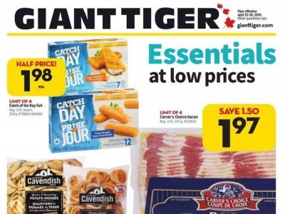 Giant Tiger store - 130 Atherley Road, Orillia, Ontario, Canada - Hours ...