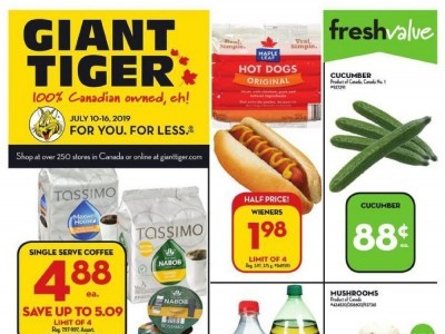 Giant Tiger in Gatineau (Quebec, Canada) - locations, store list, hours ...