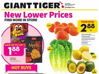 Giant Tiger in Heritage Place (Owen Sound, Ontario N4K 6N7) | Shopping ...