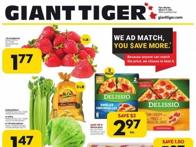 Giant Tiger store - 390 Springbank Drive, Unit1, London, Ontario ...