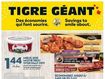 Giant Tiger in The Shoppes on TransCanada (Sault Ste. Marie, Ontario ...