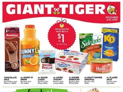 Giant Tiger store - 1512 Merivale Road, Ottawa, Ontario, Canada - Hours ...