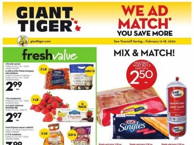 Giant Tiger store - 82 King George Road, Brantford, Ontario, Canada ...