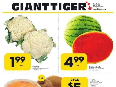 Giant Tiger store - 2735 Avonhurst Drive, Regina, Saskatchewan, Canada ...