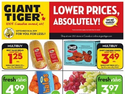 Giant Tiger in Brockville (Ontario, Canada) - locations, store list ...