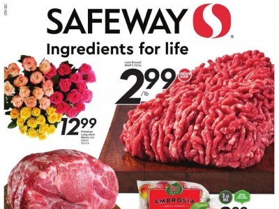 Safeway in Medicine Hat Mall (Medicine Hat, Alberta T1B2R4) | Shopping ...