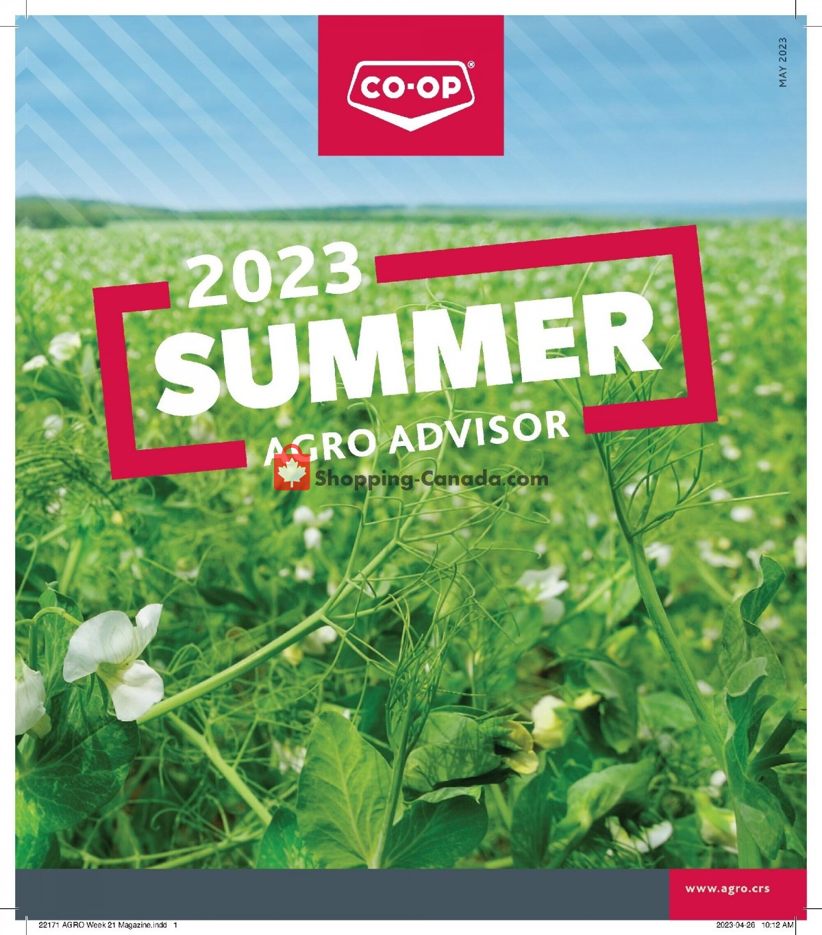 Co-op Flyers, Weekly ads in Canada | Shopping Canada